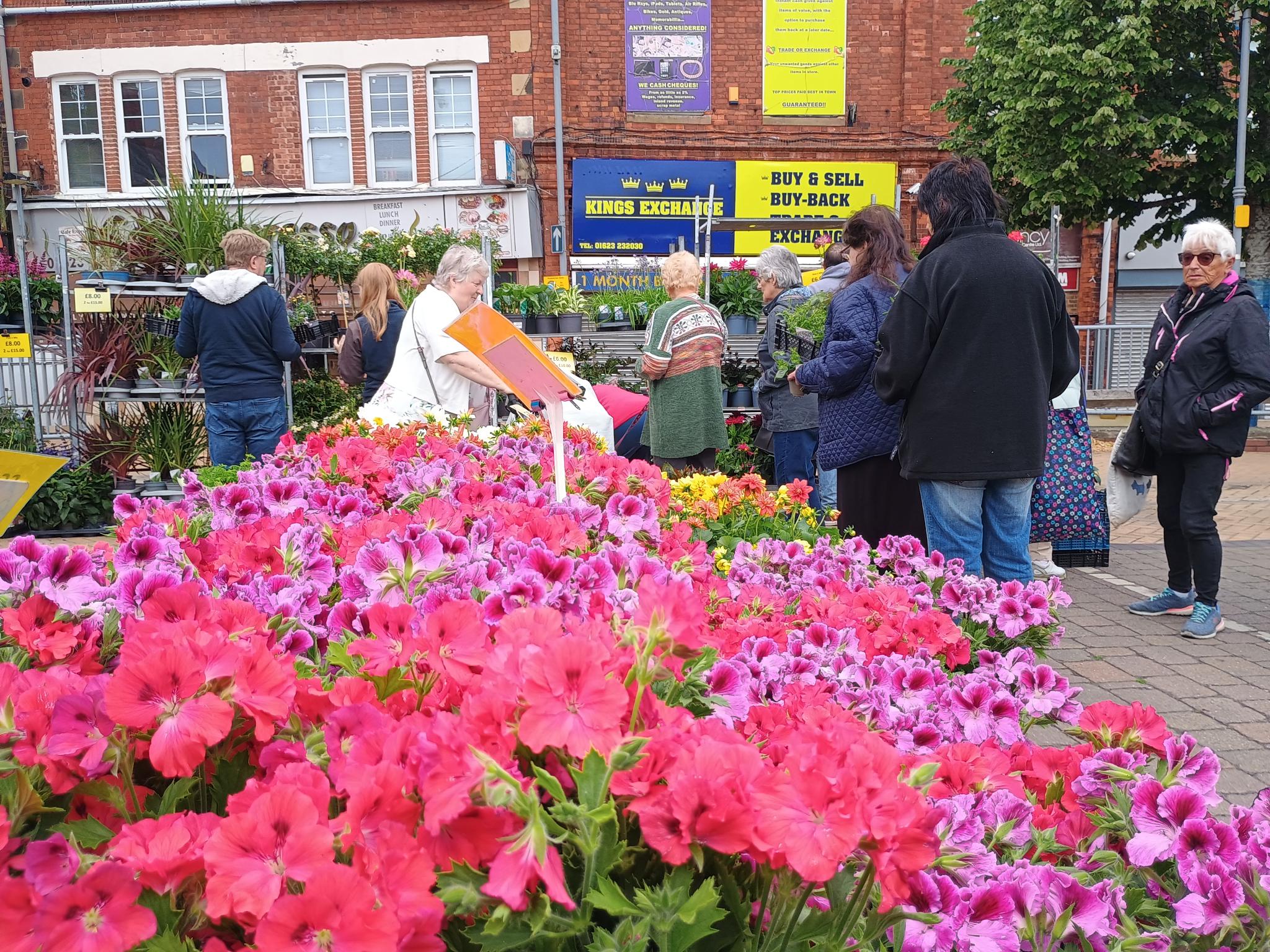 What's on | Discover Ashfield
